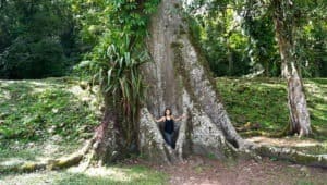 Yaxchilan and Bonampak: What to Know to Visit These Hidden Ruins in Chiapas